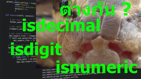 สอนไพธอน Python 3 เรียนเทคนิค Isdecimal Isdigit Isnumeric ตรวจสอบ Check