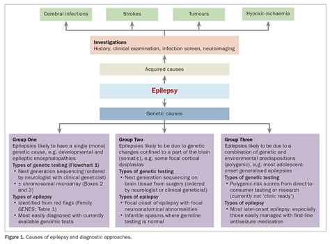 Genetic Testing For Epilepsy Why And When To Think About It Medicine
