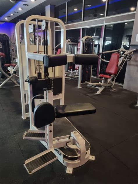 Cybex Torso Rotation