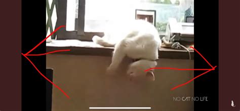 Screen Video Problem Or Not Apple Community