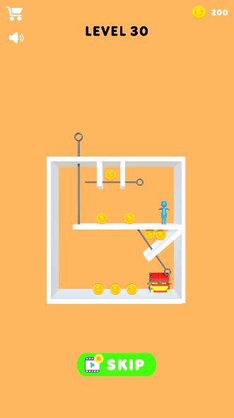 Pin Puzzle Sell Unity Code