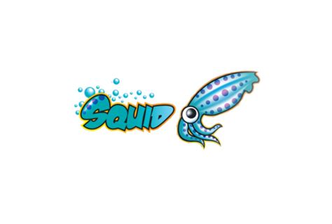 Install And Configure High Anonymous Squid Proxy Server In Simple Steps