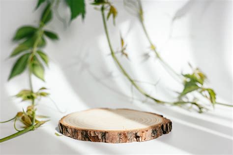 그림자와 흰색 배경에 프리젠 테이션 및 전시회를위한 자연 둥근 나무 스탠드 유기농 화장품을 위해 녹색 잎으로 3d 빈 연단을