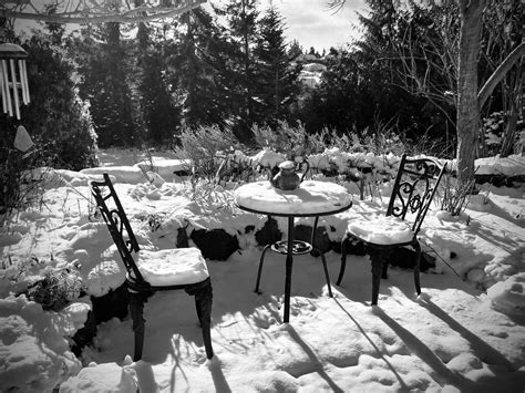 A Big Chill Sequim Sees Snowfall Feels Frigid Weather Sequim Gazette