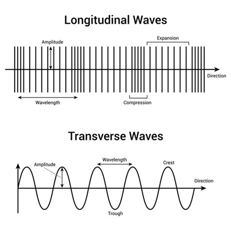 What Is A Longitudinal Wave Definition Examples And Properties