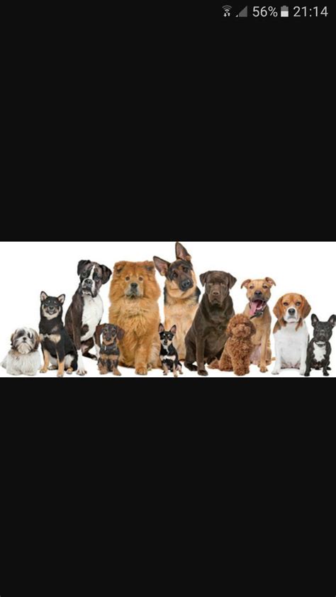 Darkness Into Light Tullamore A Little Over 75hrs To Go Guys And Ive A Few Queries Coming In So