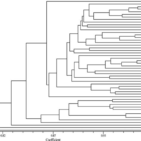 Dendrogram Based On Upgma Analysis Of The Nei And Li Similarity Among