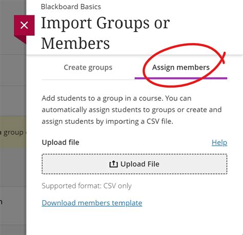 Batch Assign Users To Groups Detroit Mercy Cetl