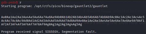 Picoctf 2021 Binary Exploitation Challenge Writeups