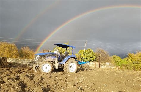Foton Lovol Club Georgia ყიდვა გაყიდვა