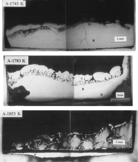 Typical Microstructure Of The Silicon Infiltrated Specimens A Download Scientific Diagram