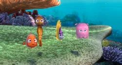 Tad From Finding Nemo Jr