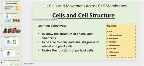 Wjec Gcse Biology Topic 1 Cells And Movement Across Cell Membranes