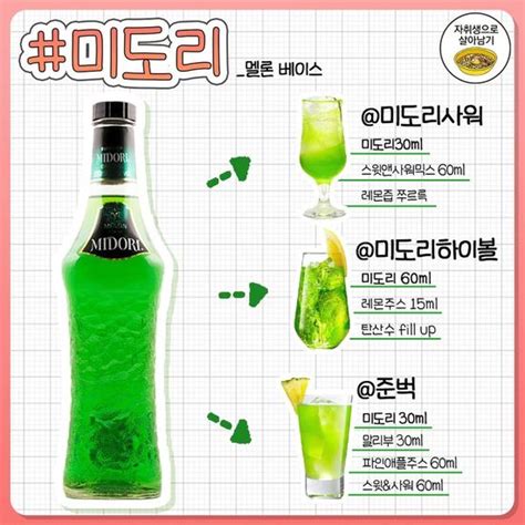 리큐르별 뽕뽑는 존맛 칵테일 레시피 정보지식사이트 술 레시피 칵테일 레시피 레시피