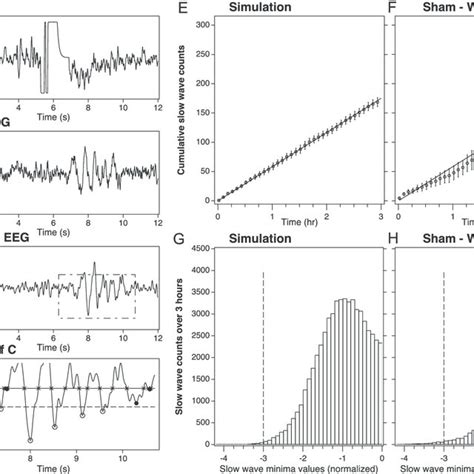 eeg signal post processing steps in simulated and physiologic mouse eeg