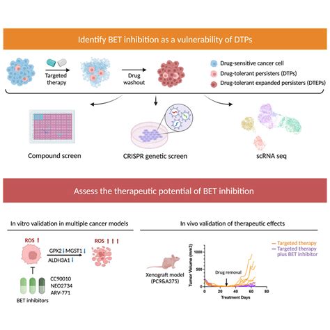 targeting of vulnerabilities of drug tolerant persisters identified
