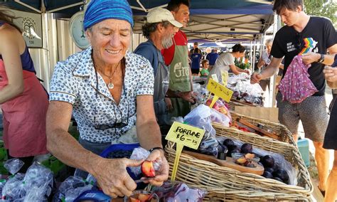 Kupe And The Te Wheke O Muturangi Marlborough Nz