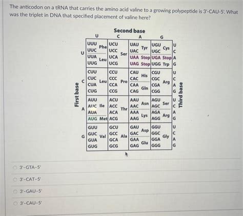 Solved The Anticodon On A TRNA That Carries The Amino Acid Chegg Com
