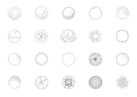 Tree Plan Plant Landscape Architecture Nature Park Garden Collection