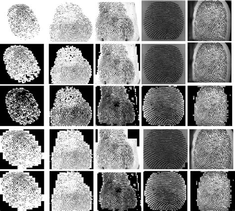 Figure 2 From Morphological And Gradient Based Fingerprint Image Segmentation Semantic Scholar