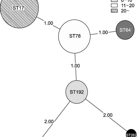 minimum spanning tree from 44 strains after mlst analysis thick solid
