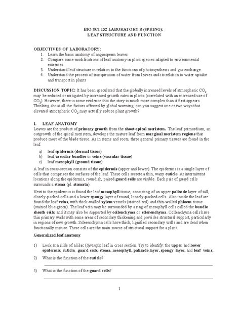 Lab 8 Manual Leaf Structure And Function Sp22 Bio Sci 152 Laboratory 8