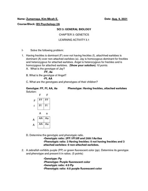 Solution Genetics Problem Solving Studypool