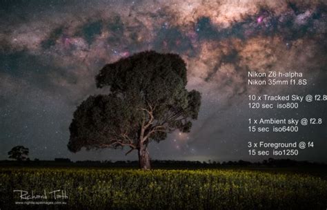 Milky Way Canola Tree Using 35mm Lens