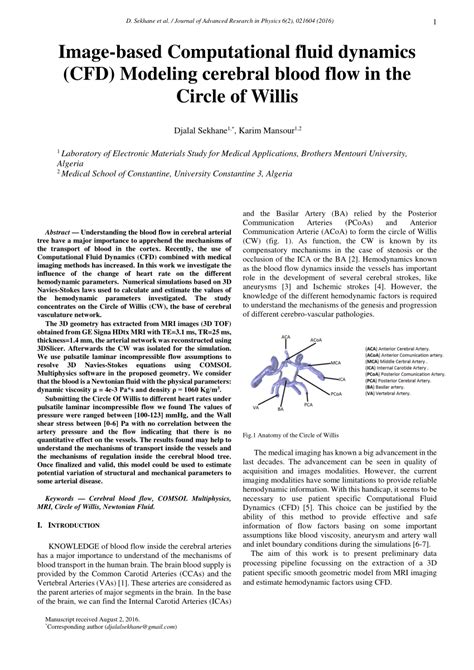 PDF Image Based Computational Fluid Dynamics CFD Modeling Cerebral Blood Flow In The Circle
