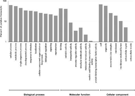 Histogram Of Go Classifications Of Amphidinium Carterae Putative