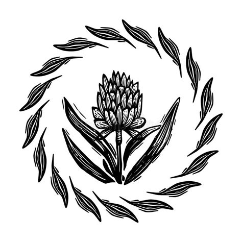 Linotype Organic Stock Illustrations 336 Linotype Organic Stock Illustrations Vectors