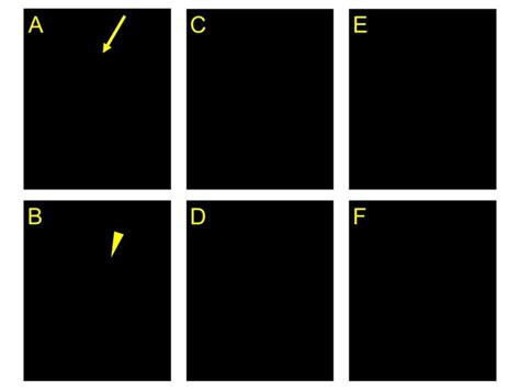 How To Make Multi Panel Figures For Scientific Articles And Journals