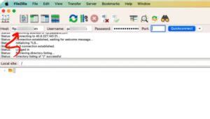 What Is The Root Directory In WordPress And How To Find It