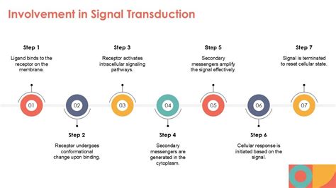 Involvement In Signal Transduction Secondary Active Transport Ppt Slides Acp Ppt Sample