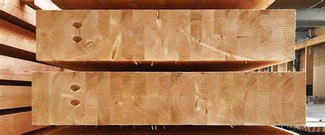 Dowel Laminated Timber Tridome Structures