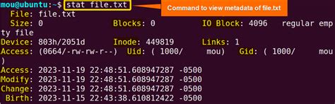 File Information And Metadata Linuxsimply