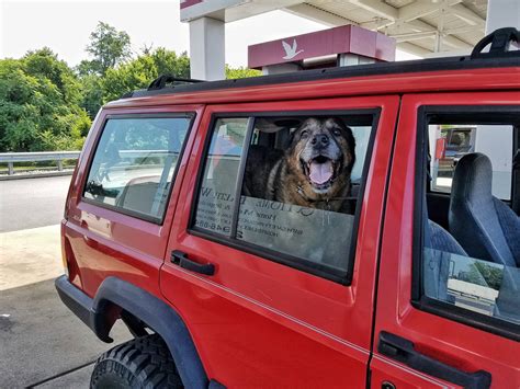 Rileys Last Ride Album On Imgur