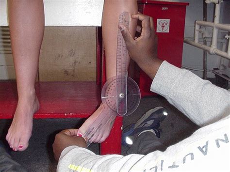 Goniometer Of Inversion Free Education Body Physiotherapy