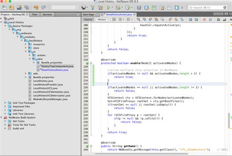 Hacking The NetBeans IDE 4 Changing The Way NetBeans IDE Local