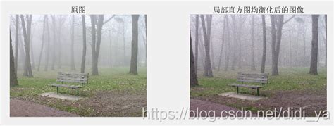 MATLAB图像处理实用案例详解1 基于直方图优化的图像去雾技术 CSDN博客