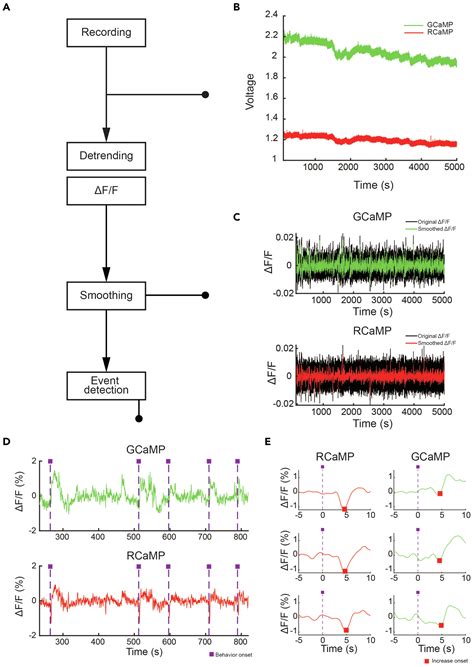 Cell Press Star Protocols