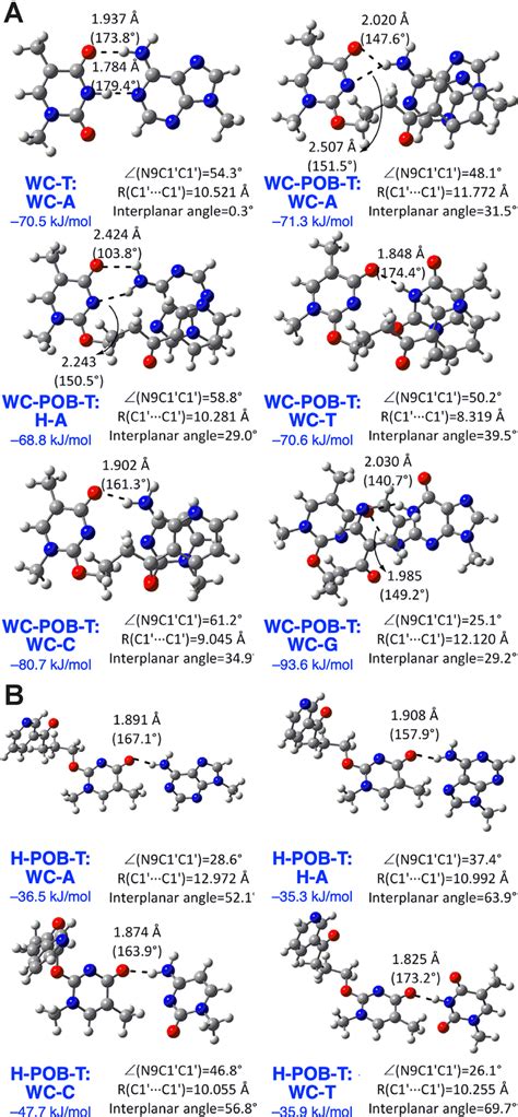 Dft Structures And Binding Energies For Base Pairs Between The A T Or