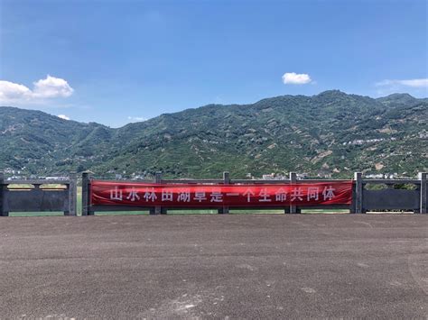 三峡库区香溪河流域综合治理光秃秃的消落区变绿色长廊 绿政公署 澎湃新闻 The Paper