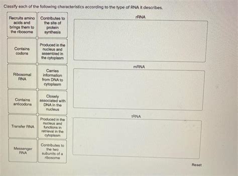 Solved Mrna Processing In Eukaryotes 2 Label Some Of The