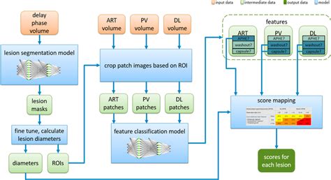 Overview Of The Fully Automatic Cnn Guided Li Rads System Cnn Download Scientific Diagram