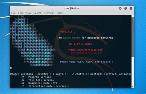 Best Kali Linux Tools For Hacking And Penetration Testing Bakapps