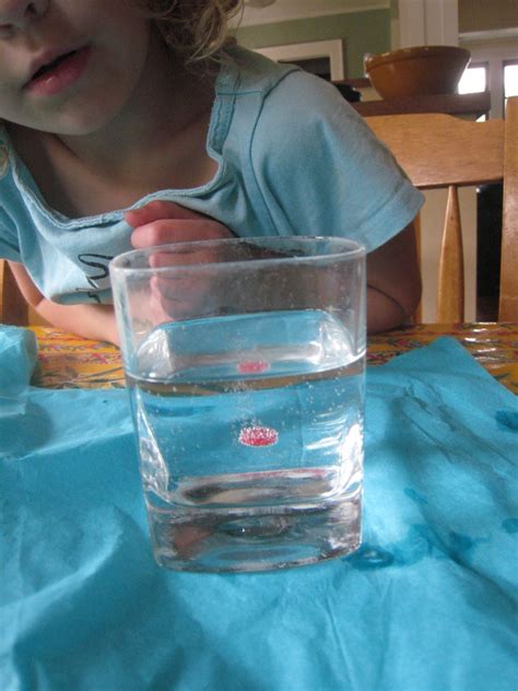 Float The Kitchen Pantry Scientist