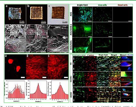 Figure 13 From Current Status In The Utilization Of Biobased Polymers For 3d Printing Process A