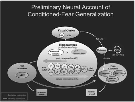 Pdf Fear Generalization In Humans Systematic Review And Implications For Anxiety Disorder