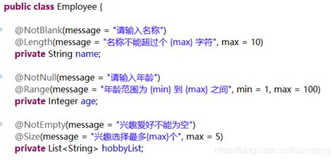 valid 和 validated 注解用法详解 csdn博客